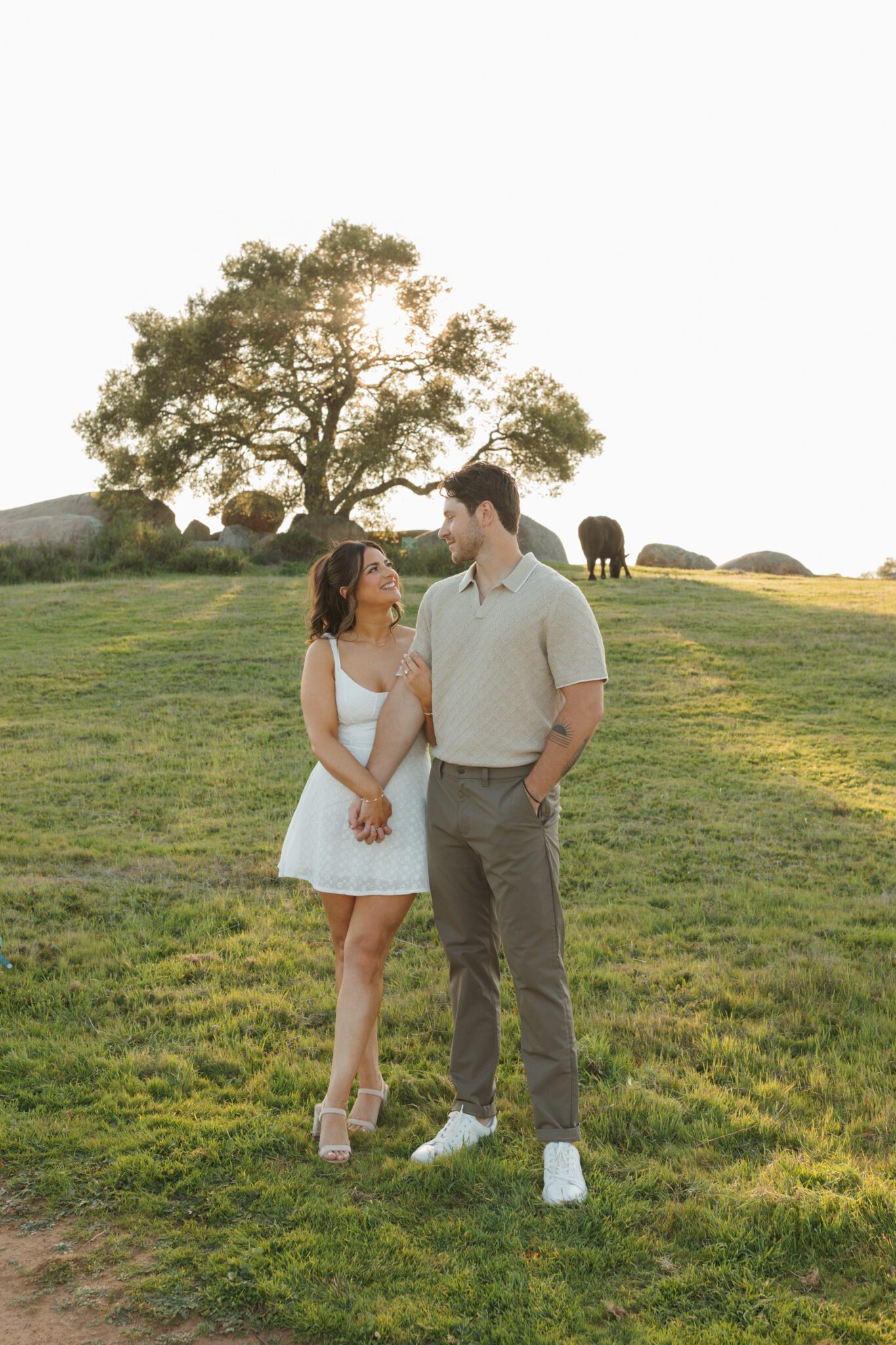 Champagne, Cows & Golden Hour – A Ramona Engagement Session ...